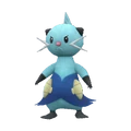Dewott | Nintendo | Fandom