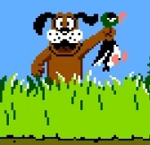 Duck Hunt (character)/gallery | Nintendo | Fandom
