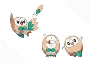 Rowlet/gallery | Nintendo | Fandom