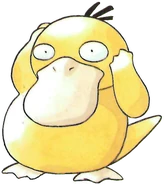 Psyduck/gallery | Nintendo | Fandom