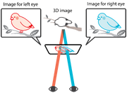 Nintendo 3DS | Nintendo | Fandom