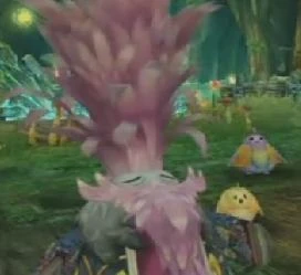 Chief Dunga | Nintendo | Fandom