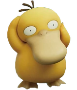 Psyduck/gallery | Nintendo | Fandom