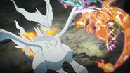 Reshiram/gallery | Nintendo | Fandom