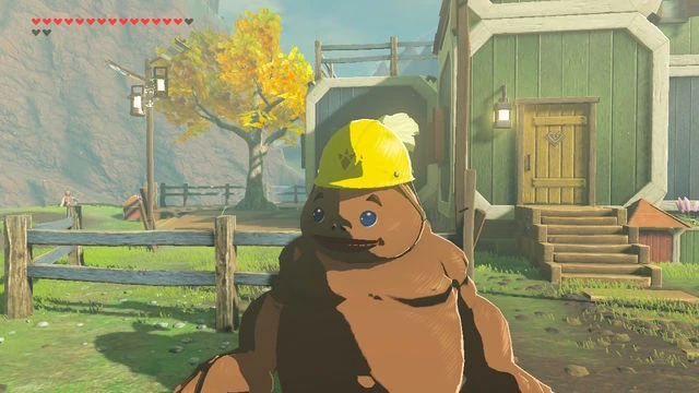 Greyson | Nintendo | Fandom