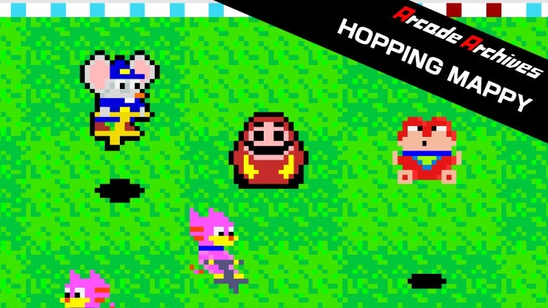 Hopping Happy | Nintendo | Fandom