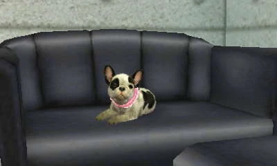 Alle Items von Nintendogs+Cats | Nintendoegs Wiki | Fandom