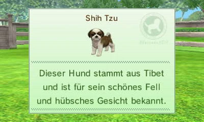 Shih Tzu | Nintendoegs Wiki | Fandom