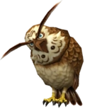 Kaepora Gaebora | NintendoFanon2 Wiki | Fandom