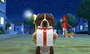 Walk | Nintendogs Wiki | Fandom