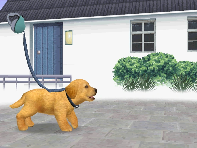 Walk | Nintendogs Wiki | Fandom