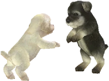 List of Tricks in Nintendogs | Nintendogs Wiki | Fandom