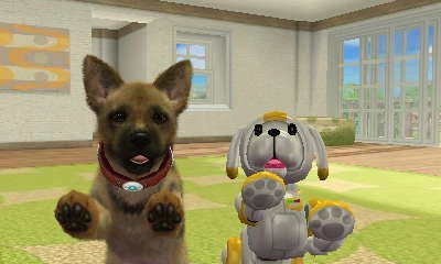 Nintendogs Wiki:Requests for adminship | Nintendogs Wiki | Fandom