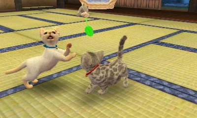 Green-Feather Cat Wand | Nintendogs Wiki | Fandom