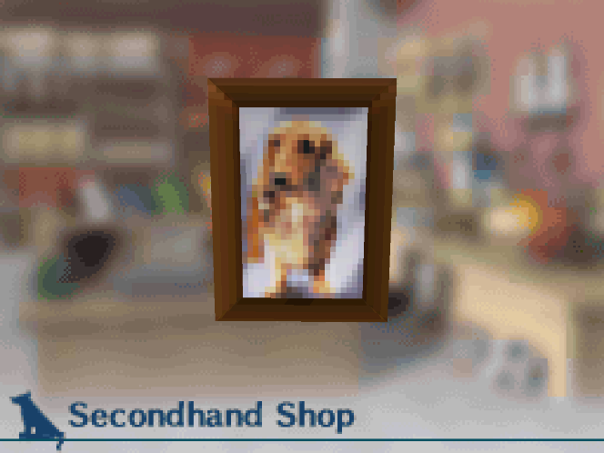 Dog Photo | Nintendogs Wiki | Fandom