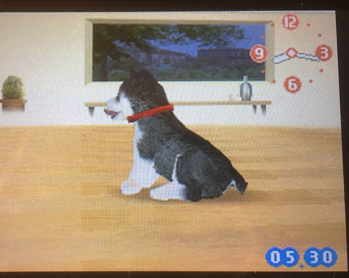 Modern Clock | Nintendogs Wiki | Fandom
