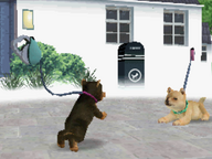 Walk | Nintendogs Wiki | Fandom