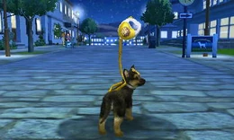 Walk | Nintendogs Wiki | Fandom