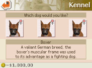 Boxer | Nintendogs Wiki | Fandom