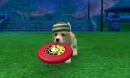 Red Flying Disc | Nintendogs Wiki | Fandom