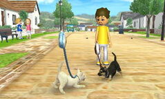 German Shepherd | Nintendogs Wiki | Fandom