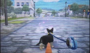 Walk | Nintendogs Wiki | Fandom
