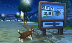 Walk | Nintendogs Wiki | Fandom