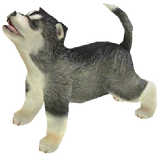 List of Tricks in Nintendogs | Nintendogs Wiki | Fandom