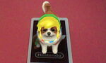 Nintendogs | Nintendogs Wiki | Fandom