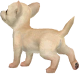 List of Tricks in Nintendogs | Nintendogs Wiki | Fandom