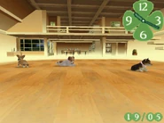 Ranch House | Nintendogs Wiki | Fandom