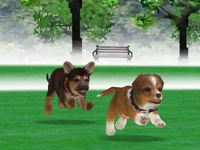 Park | Nintendogs Wiki | Fandom