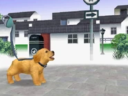 Walk | Nintendogs Wiki | Fandom