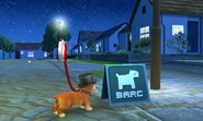 Walk | Nintendogs Wiki | Fandom