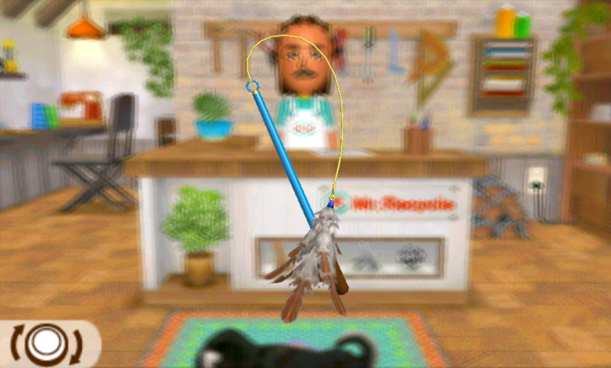 Dancing-Feather Cat Wand | Nintendogs Wiki | Fandom