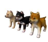 Starter Breeds | Nintendogs Wiki | Fandom