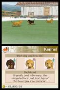 Nintendogs | Nintendogs Wiki | Fandom