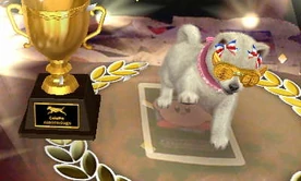 Competitions | Nintendogs Wiki | Fandom
