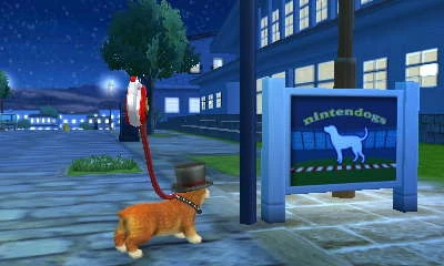 Gymnasium | Nintendogs Wiki | Fandom