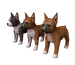 Dog Breeds | Nintendogs Wiki | Fandom