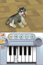 List of Tricks in Nintendogs | Nintendogs Wiki | Fandom
