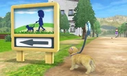 Secret Path | Nintendogs Wiki | Fandom