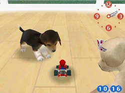 nintendogs rta