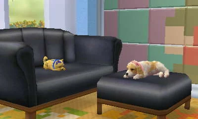 Furniture | Nintendogs Wiki | Fandom