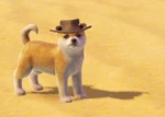 Nintendogs | Nintendogs Wiki | Fandom