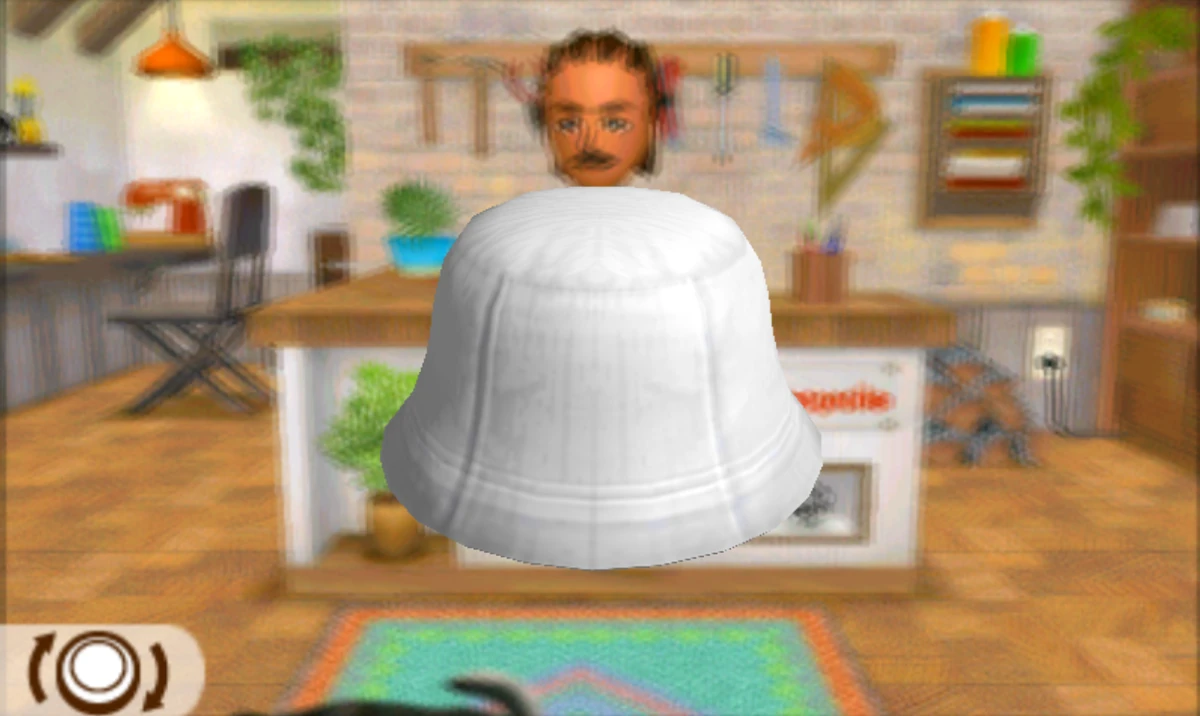 White Bucket Hat | Nintendogs Wiki | Fandom