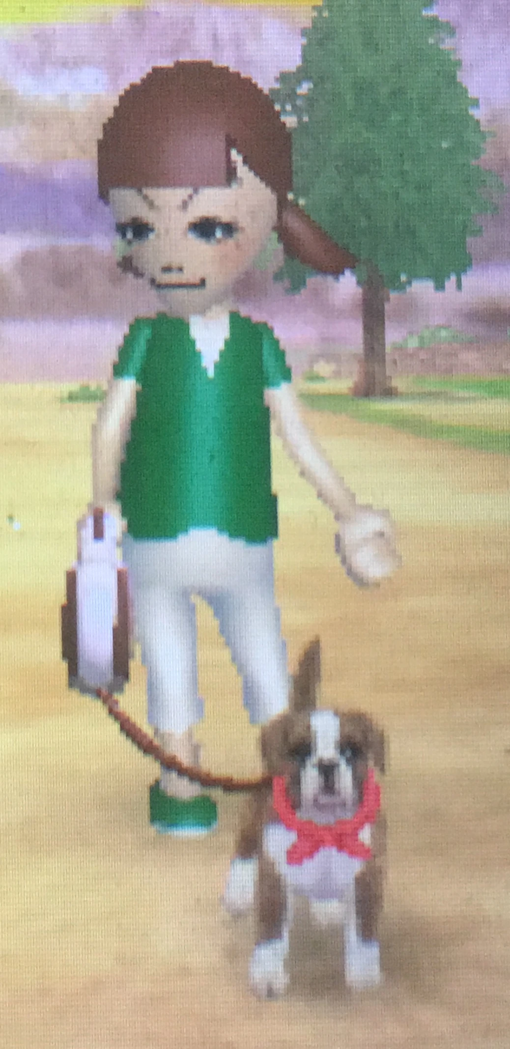 Characters (Gallery) | Nintendogs Wiki | Fandom