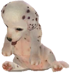 List of Tricks in Nintendogs | Nintendogs Wiki | Fandom