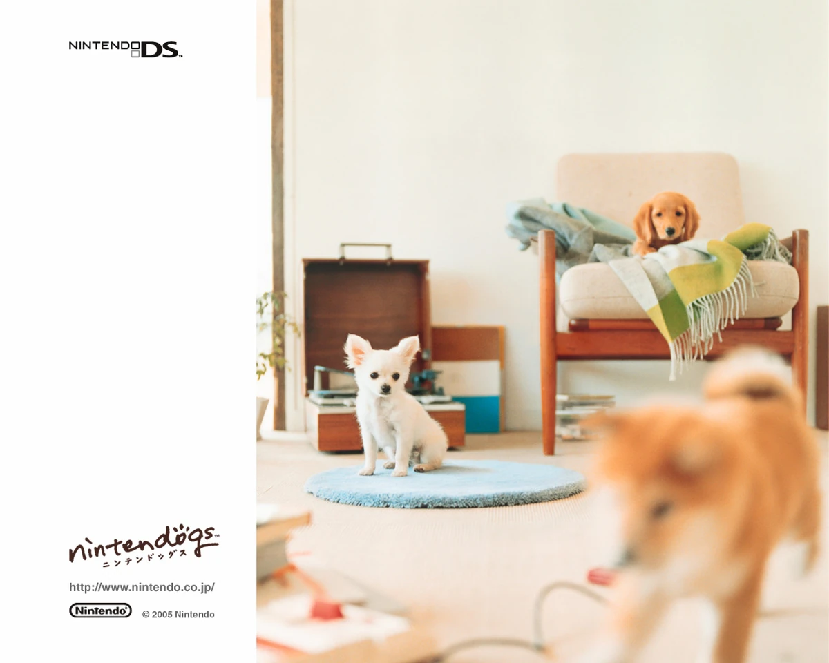 Official Wallpapers | Nintendogs Wiki | Fandom