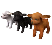 Starter Breeds | Nintendogs Wiki | Fandom